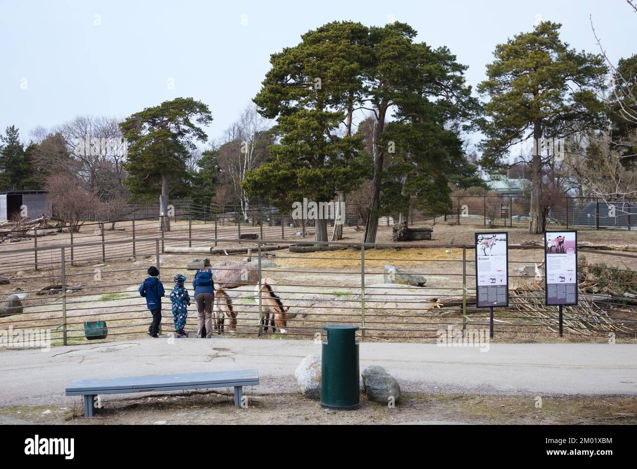 Children watch Przewalski's horses in the Korkesaari zoo in Helsinki ...