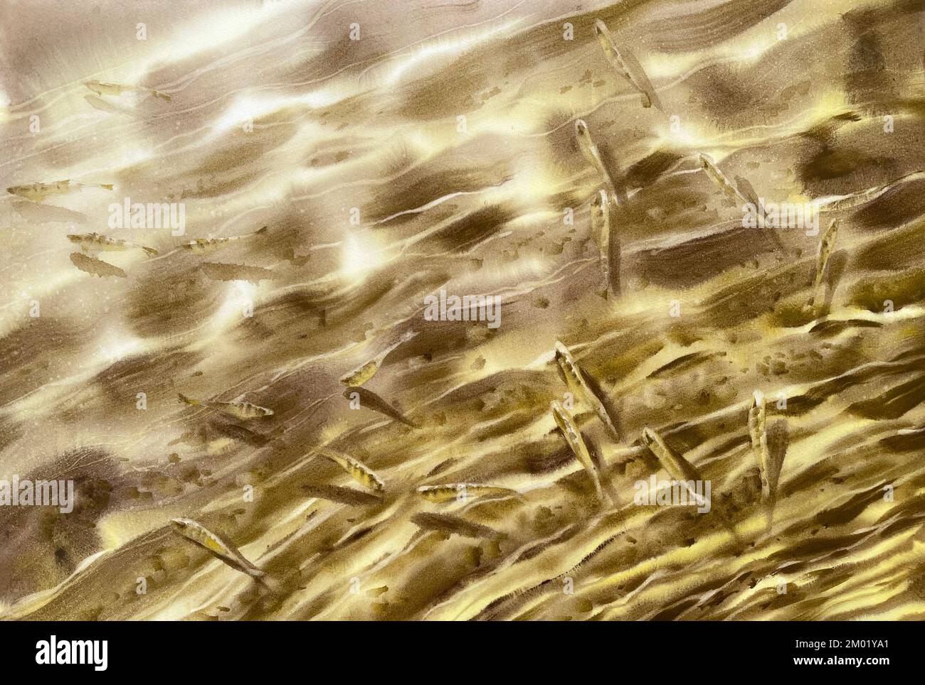 Sunny water ripples and fish watercolor background Stock Photo - Alamy