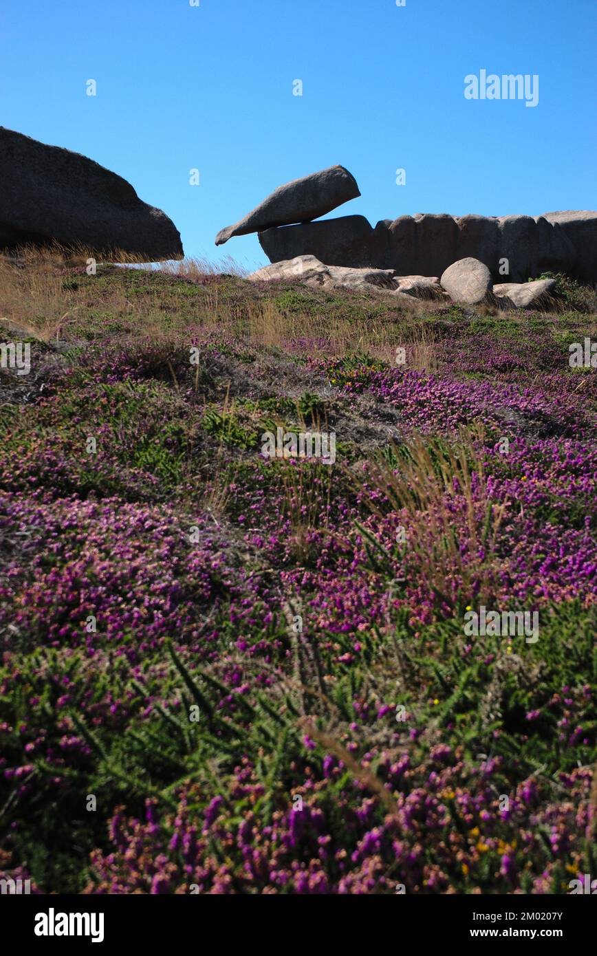 strange pink granite rock in the shape of a fish balanced on the Breton ...