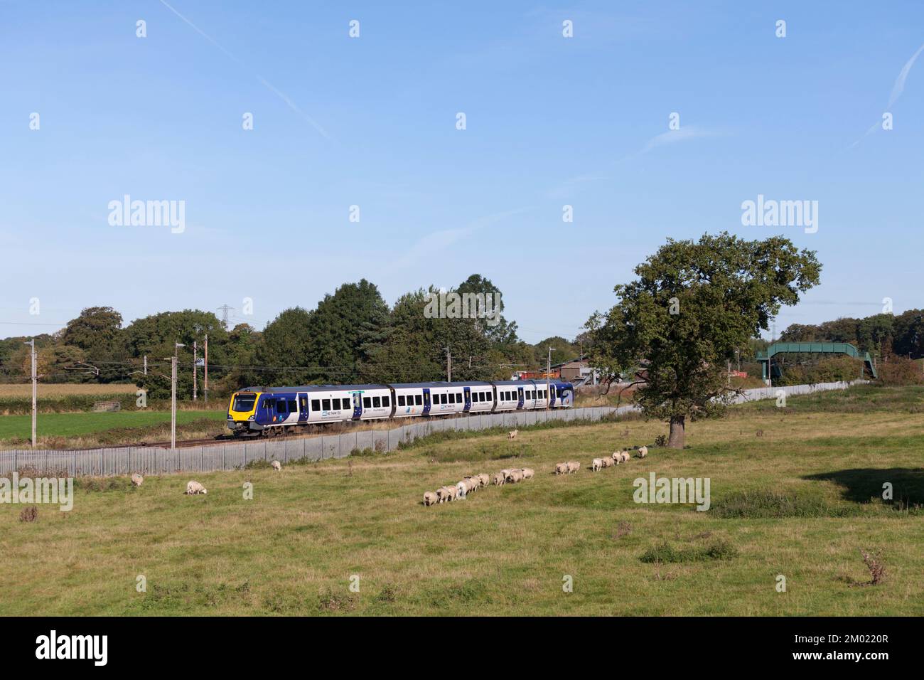 Northern Rail CAF class 195 diesel multiple unit train 195111 on the ...