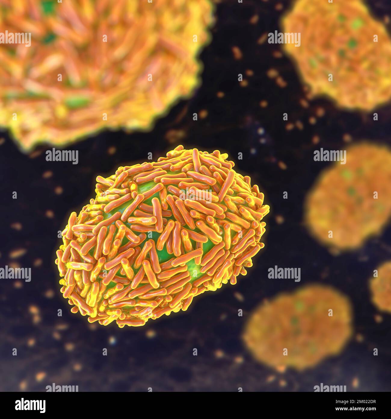 Monkeypox virus particles, illustration Stock Photo - Alamy