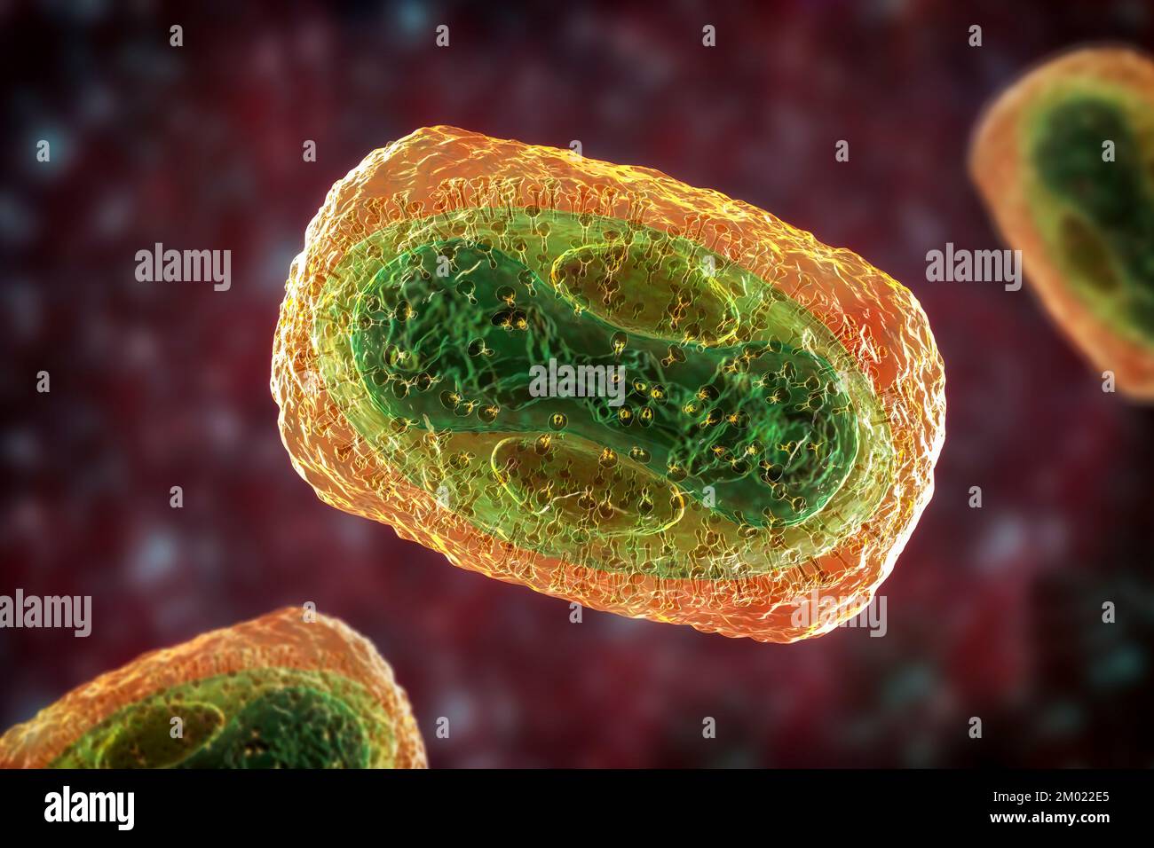 Monkeypox virus particles, illustration Stock Photo - Alamy