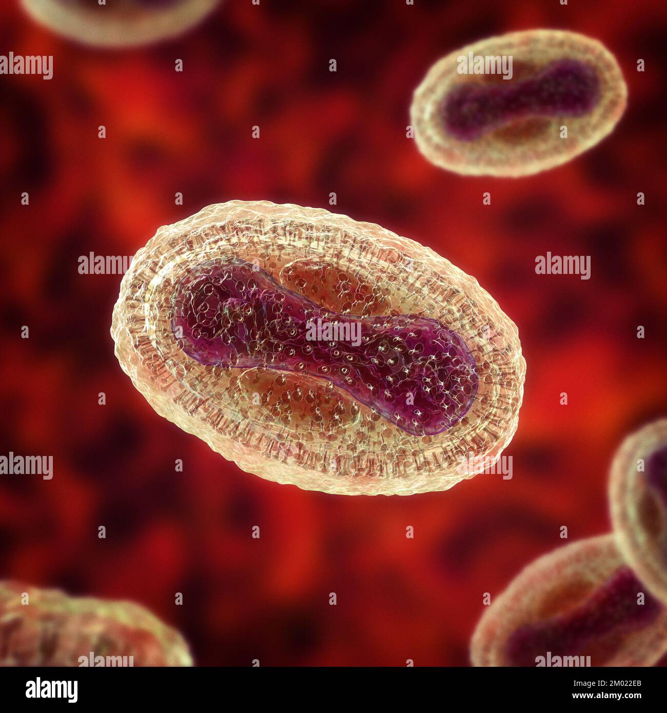 Monkeypox virus particles, illustration Stock Photo - Alamy