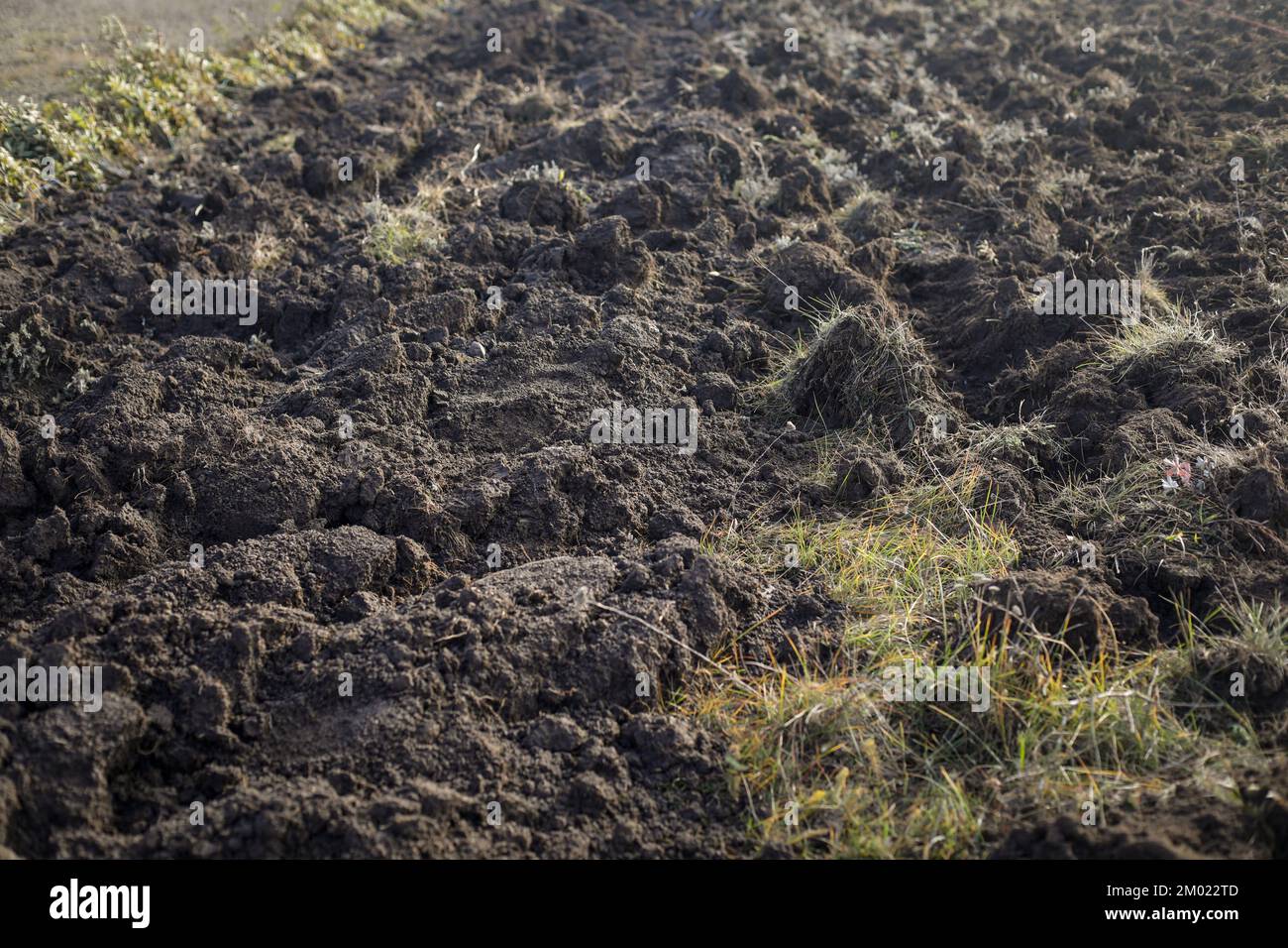 Shallow depth of field (selective focus) details with tillage land ...