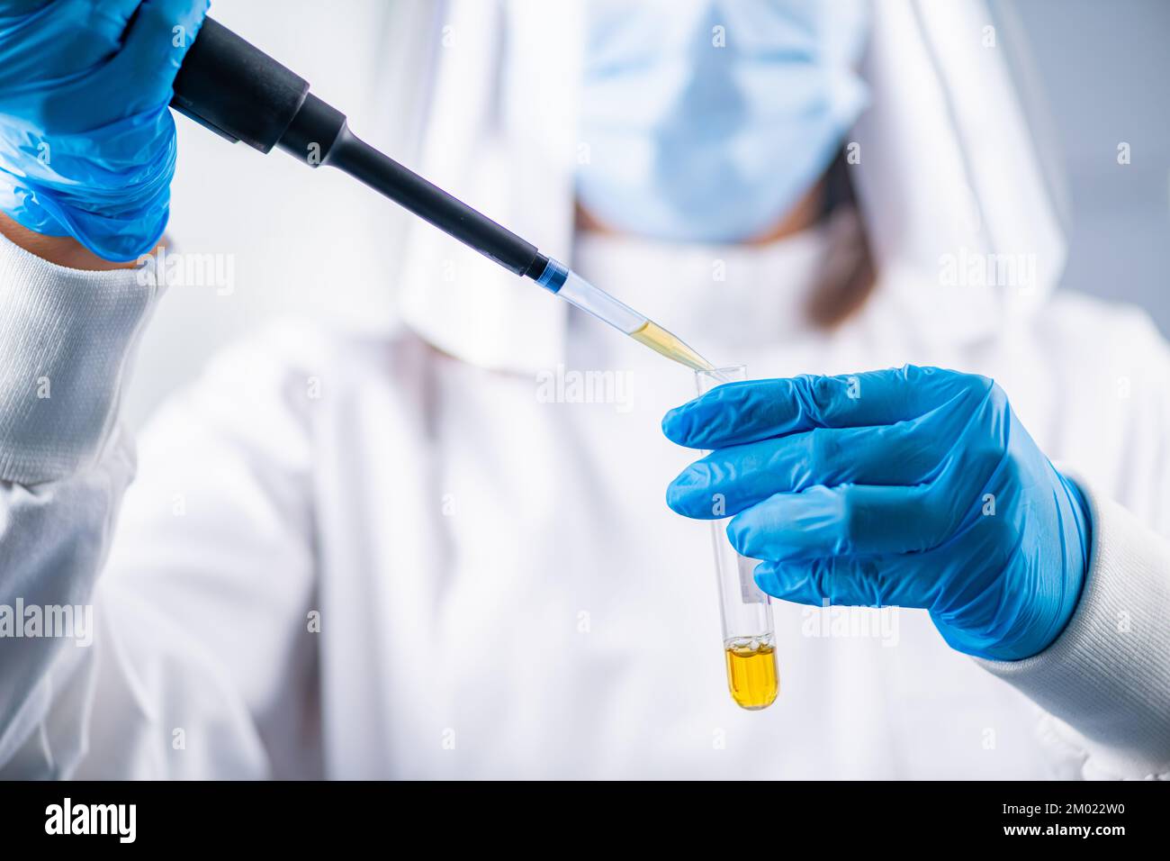Researcher pipetting a sample Stock Photo - Alamy