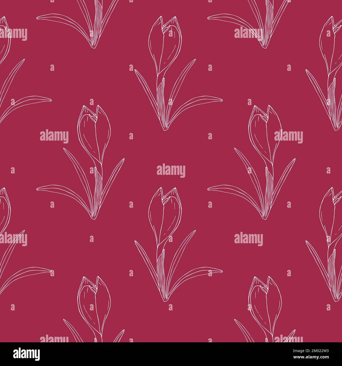 Viva Magenta color of the year 2023 pattern with white crocus contour ...