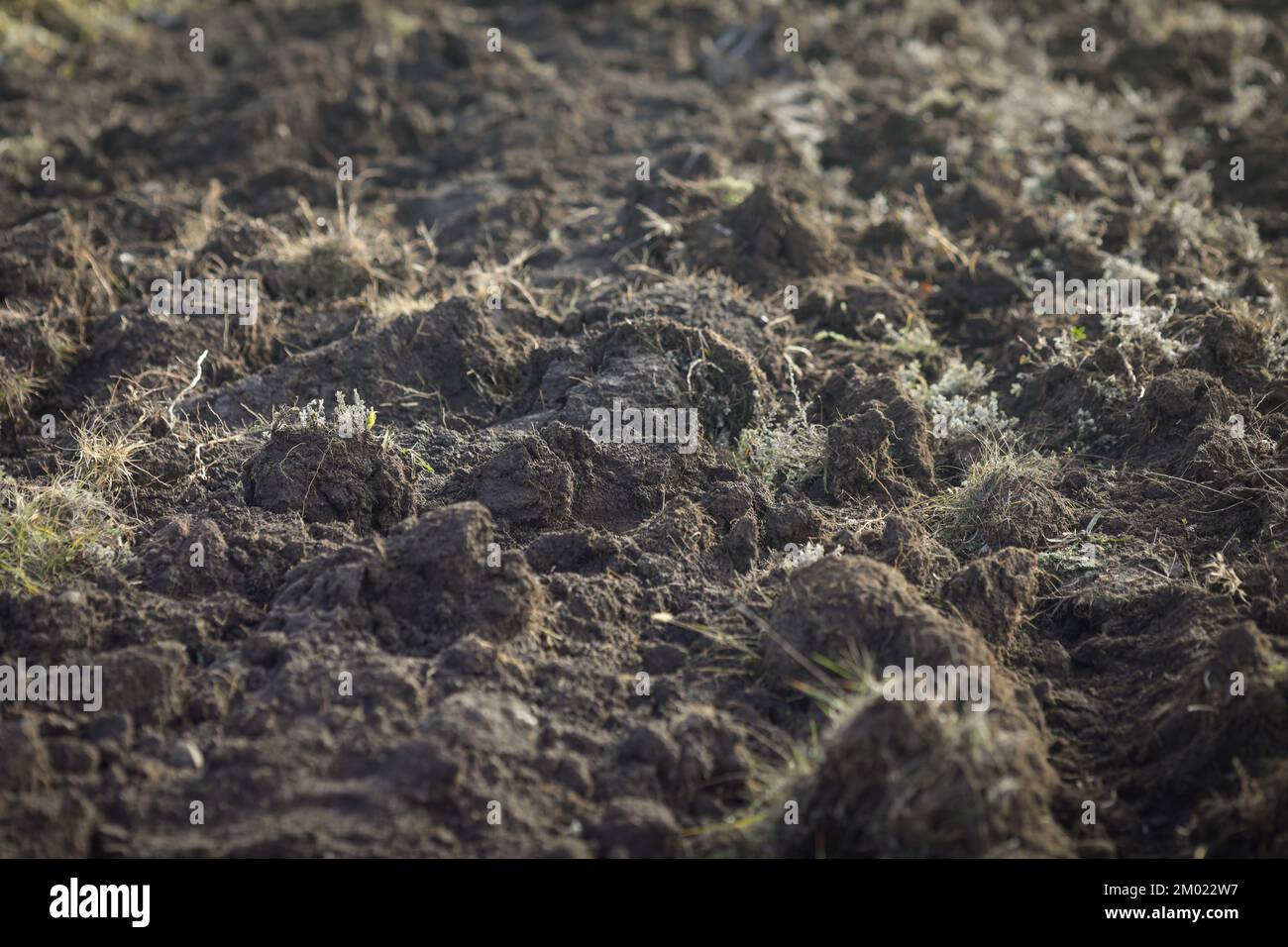 Shallow depth of field (selective focus) details with tillage land ...