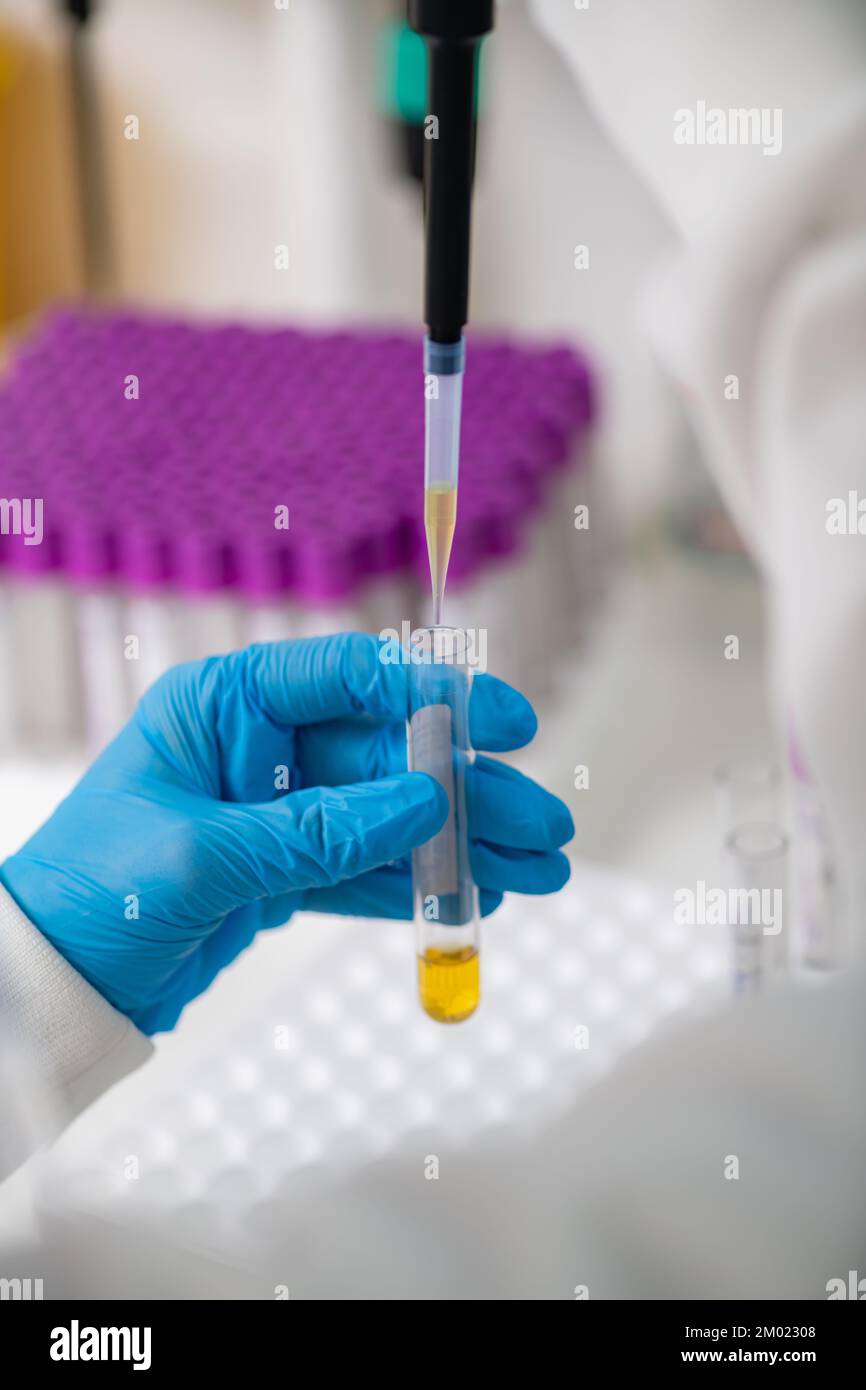 Researcher working with samples in a laboratory Stock Photo - Alamy
