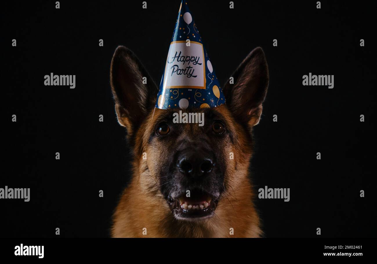 Happy Birthday German Shepherd