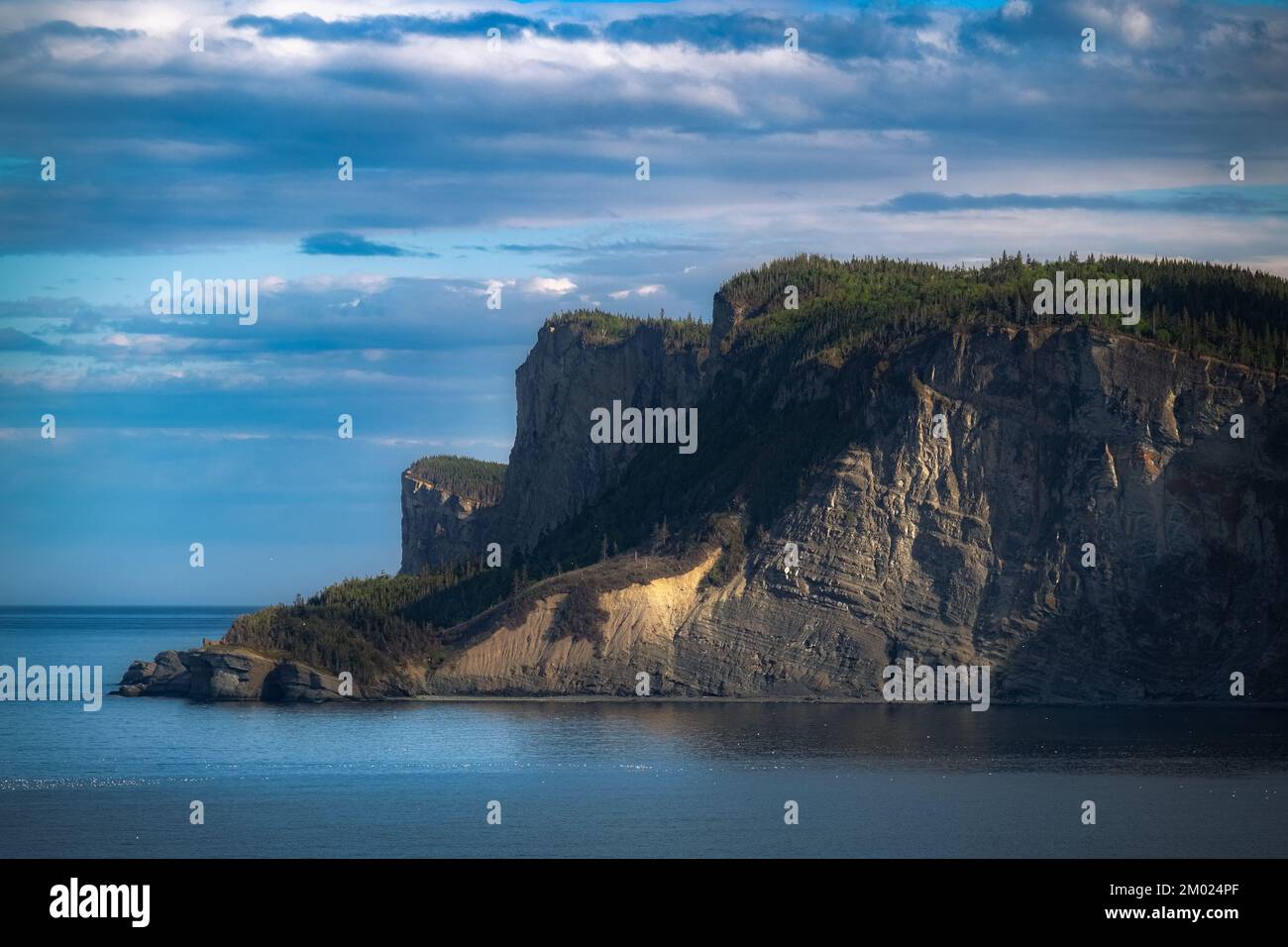 Cap Bon Ami, Forillon National Park, Gaspesie, Quebec, Canada Stock ...