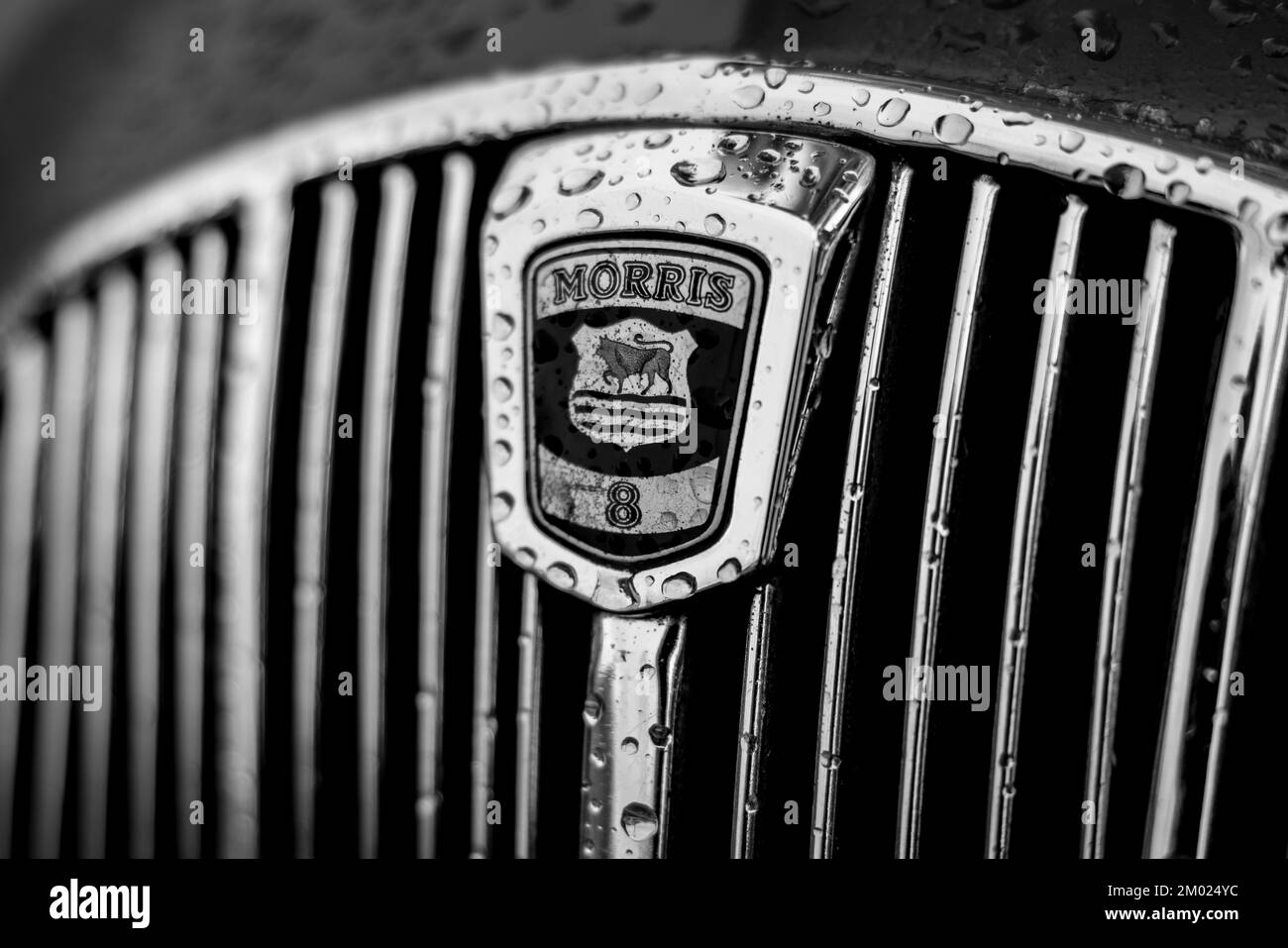Morris 8 radiator badge Stock Photo - Alamy