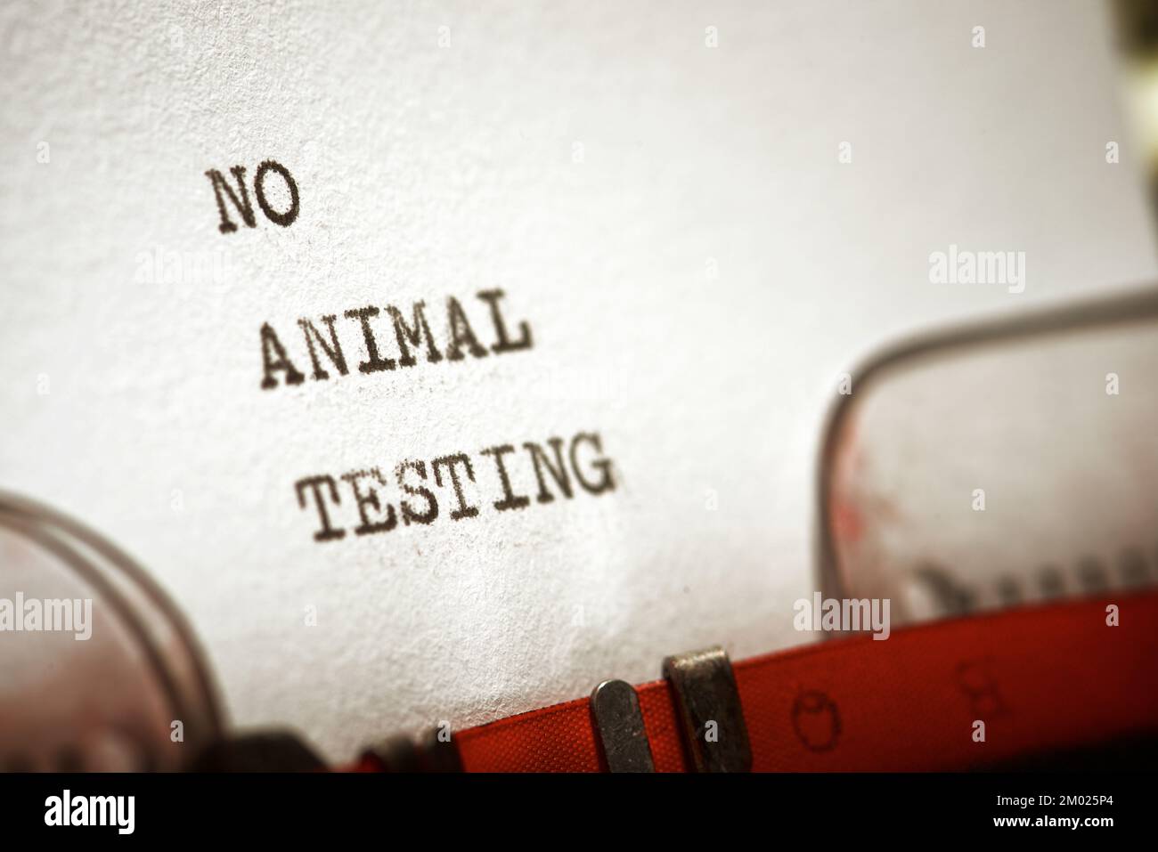 No animal testing phrase written with a typewriter Stock Photo - Alamy