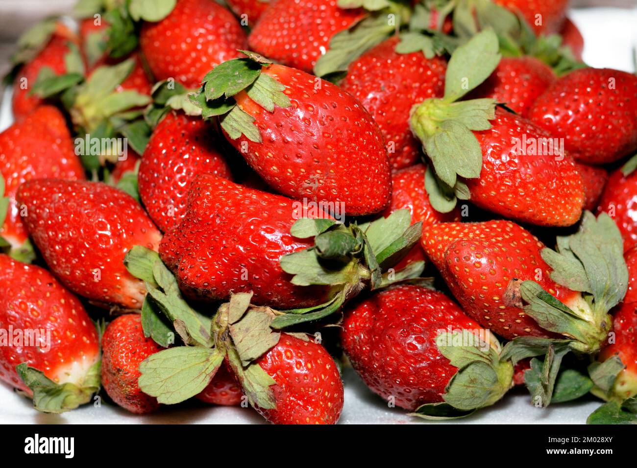 Pile of fresh strawberries fruit, the garden strawberry is a widely ...