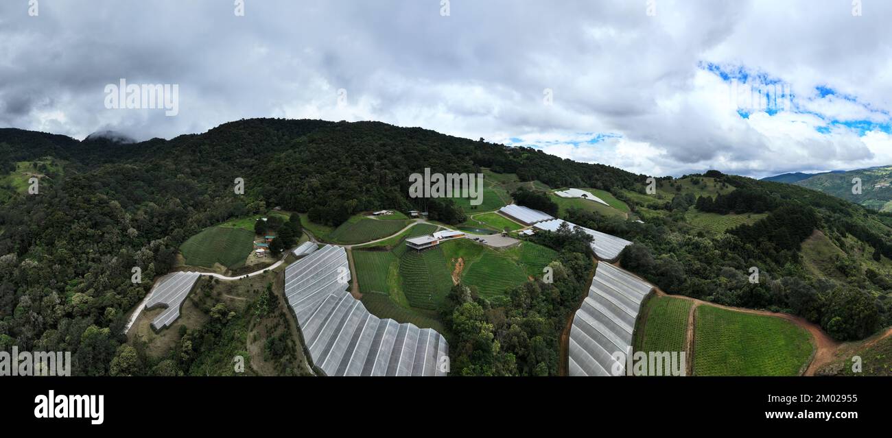 Aerial View of the Copey Winery Estates in Copey de Dota, Costa Rica ...