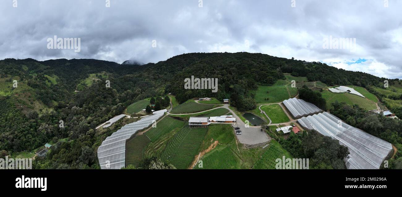 Aerial View of the Copey Winery Estates in Copey de Dota, Costa Rica ...