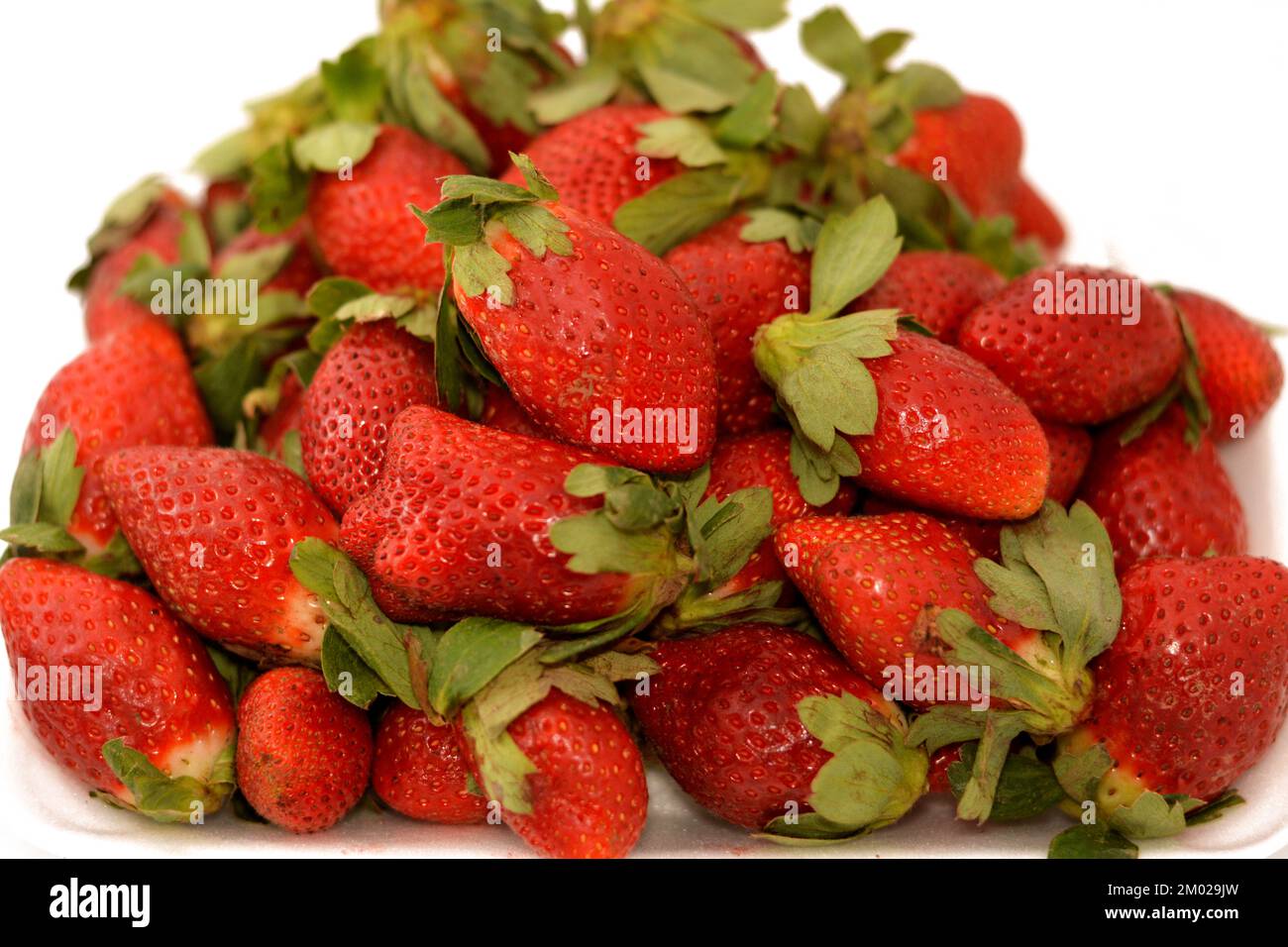 Pile of fresh strawberries fruit, the garden strawberry is a widely ...