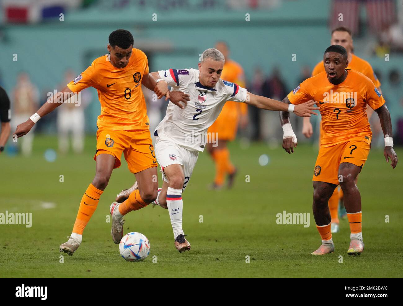 Netherlands' Cody Gakpo (left) and USA's Sergino Dest battle for the ...