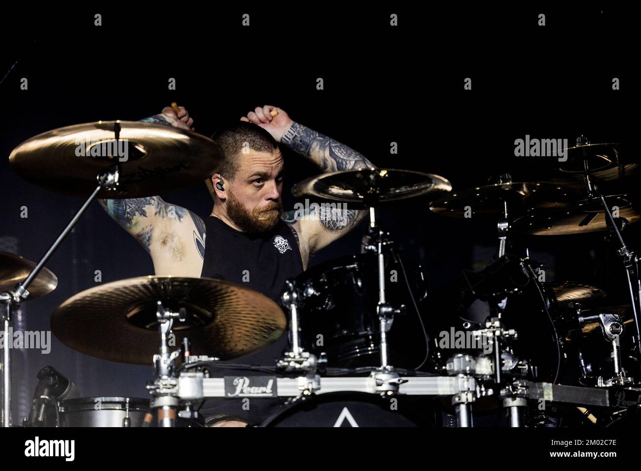 Bryce paul newman hi-res stock photography and images - Alamy