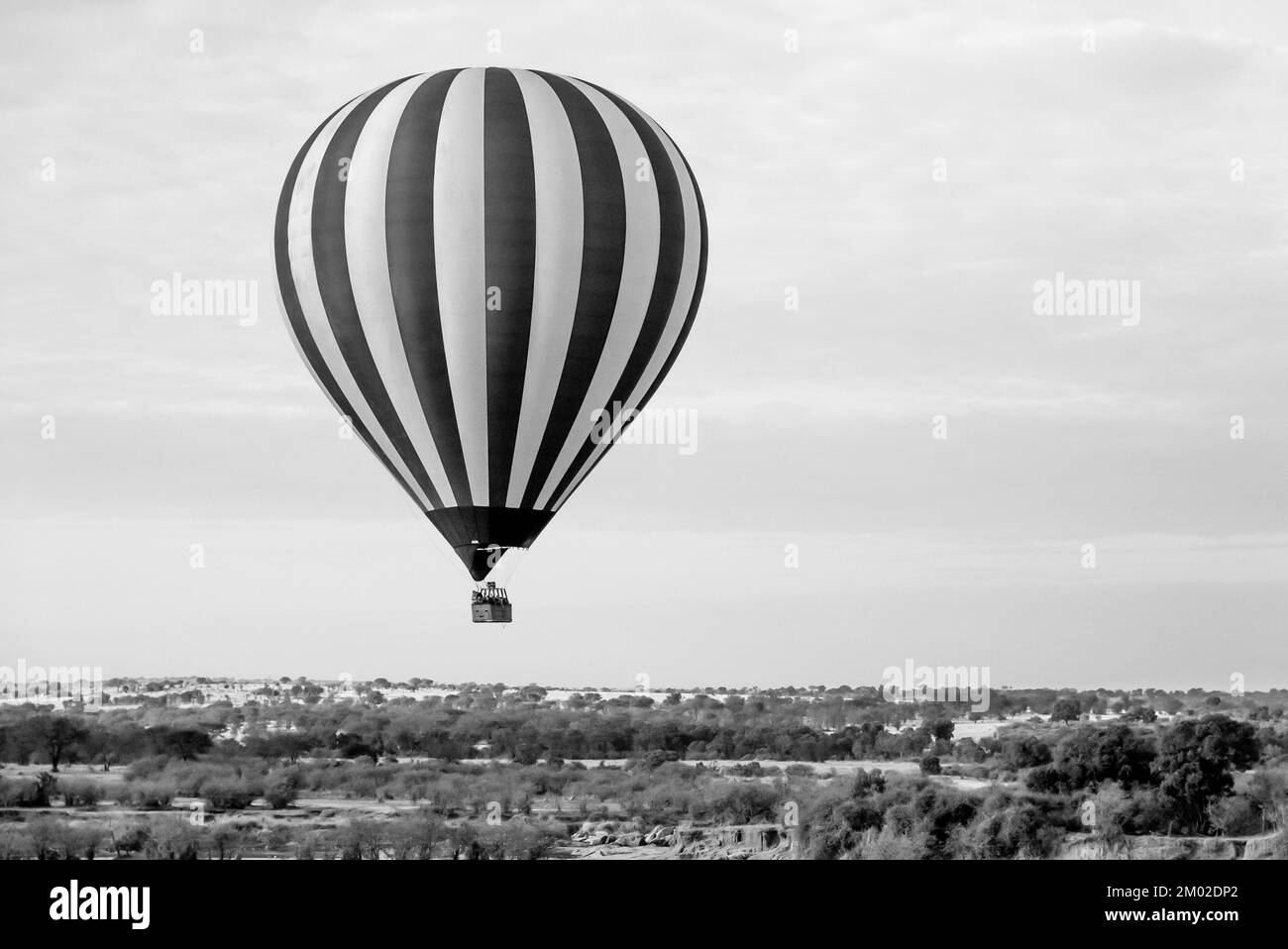 Balloon Photography Black And White