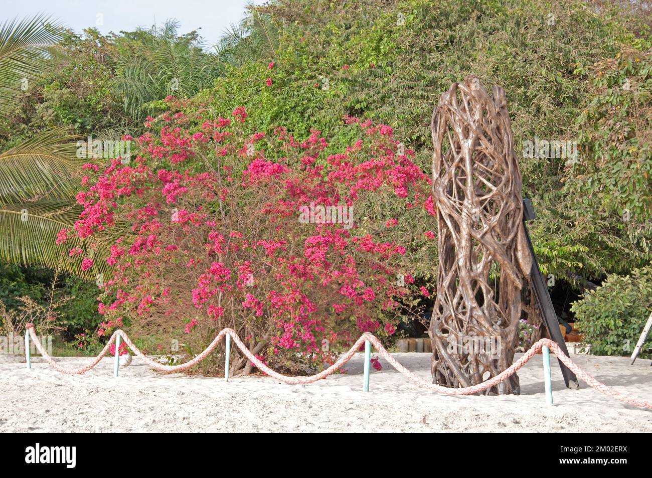 Desert island and palm tree hi-res stock photography and images - Alamy
