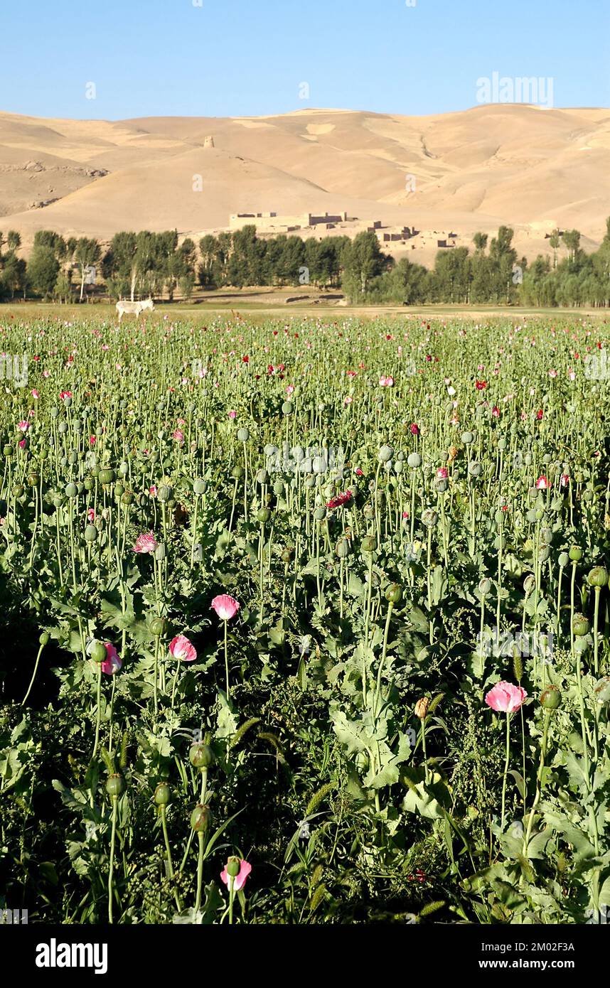 Dowlatyar hi-res stock photography and images - Alamy