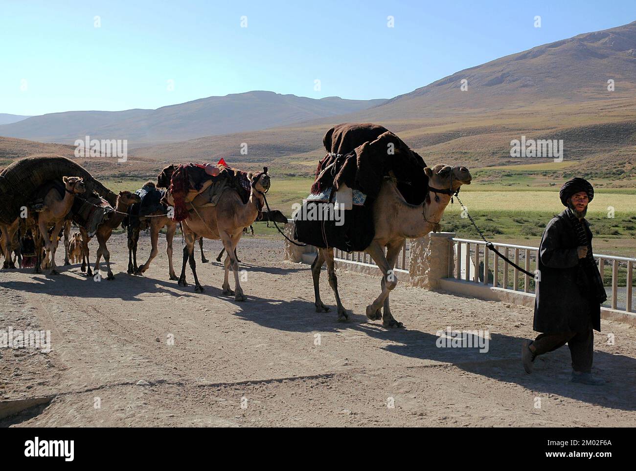 Chaghcharan, Ghor Province / Afghanistan: A man with a turban and a ...