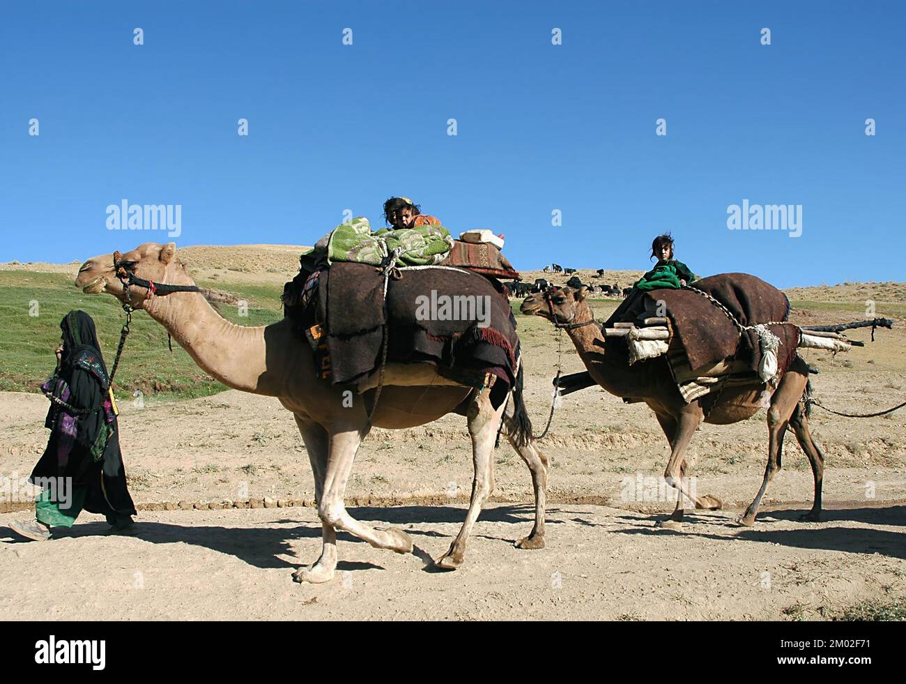 Chaghcharan, Ghor Province / Afghanistan: A traditional Afghan woman ...