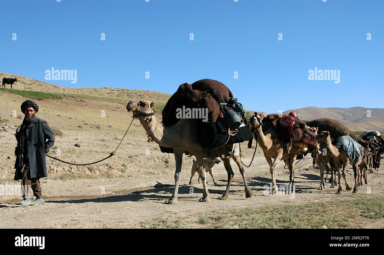 Afghanistan caravan camels hi-res stock photography and images - Alamy