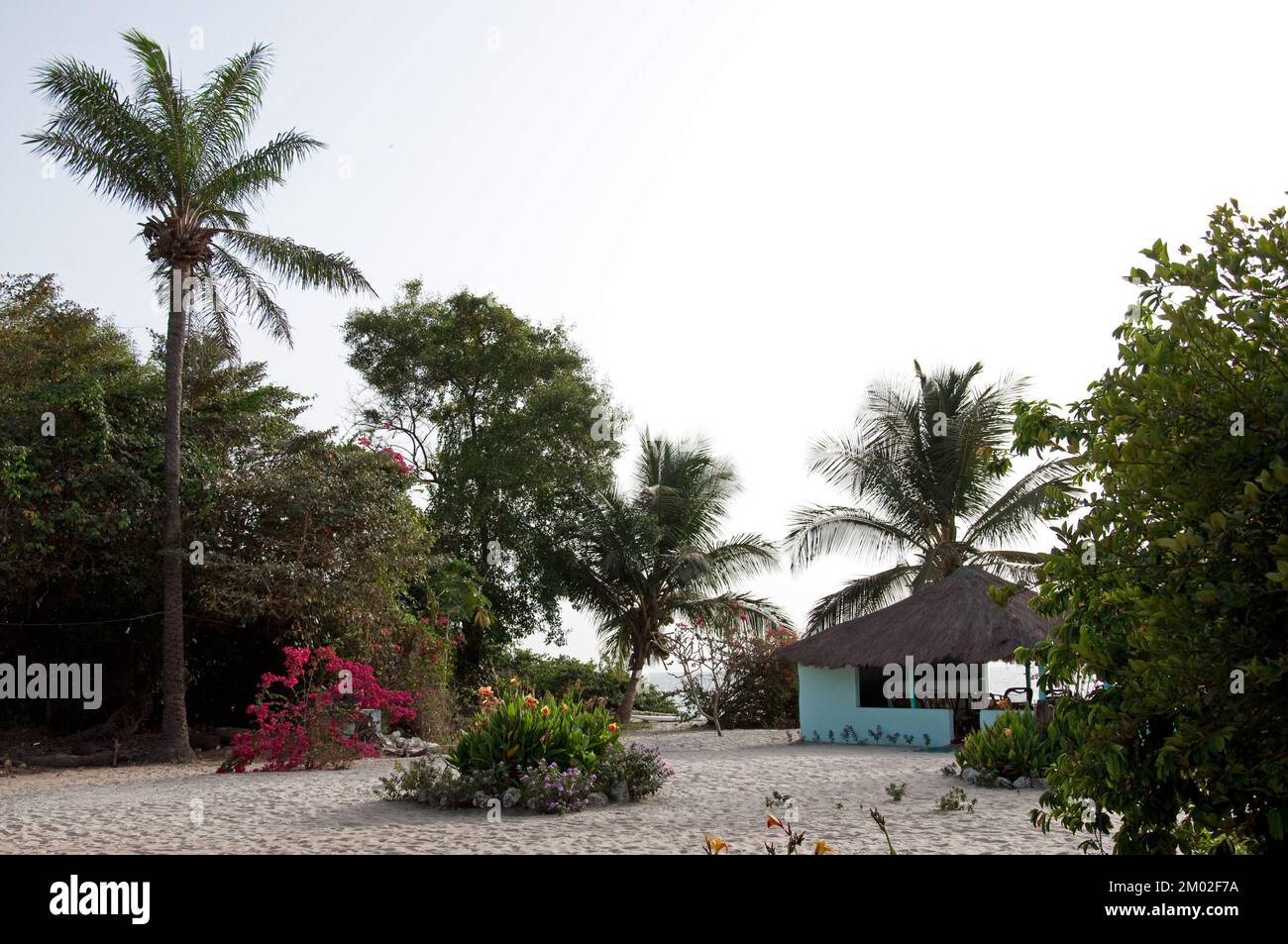 Island of joao viera hi-res stock photography and images - Alamy