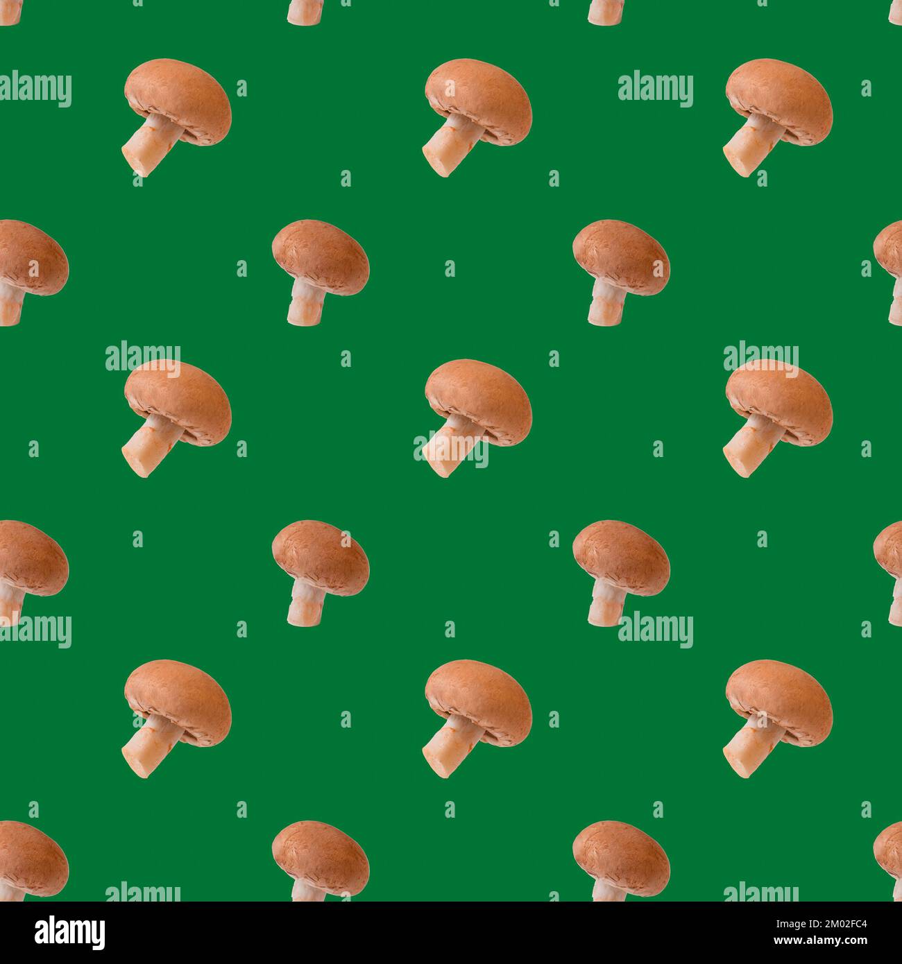 Cute mushroom seamless pattern on green background Stock Photo - Alamy