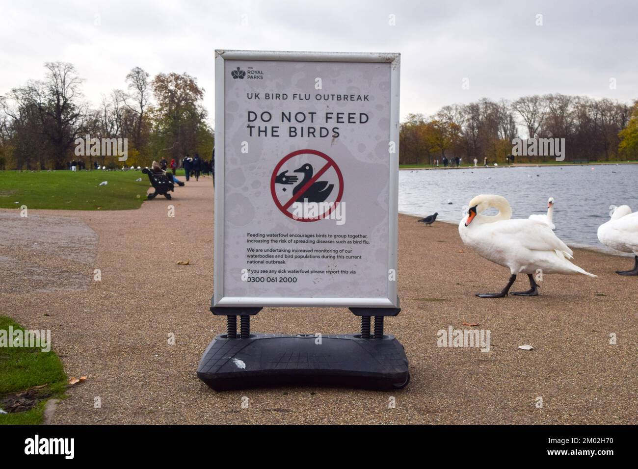 Dont feed ducks sign hi-res stock photography and images - Alamy