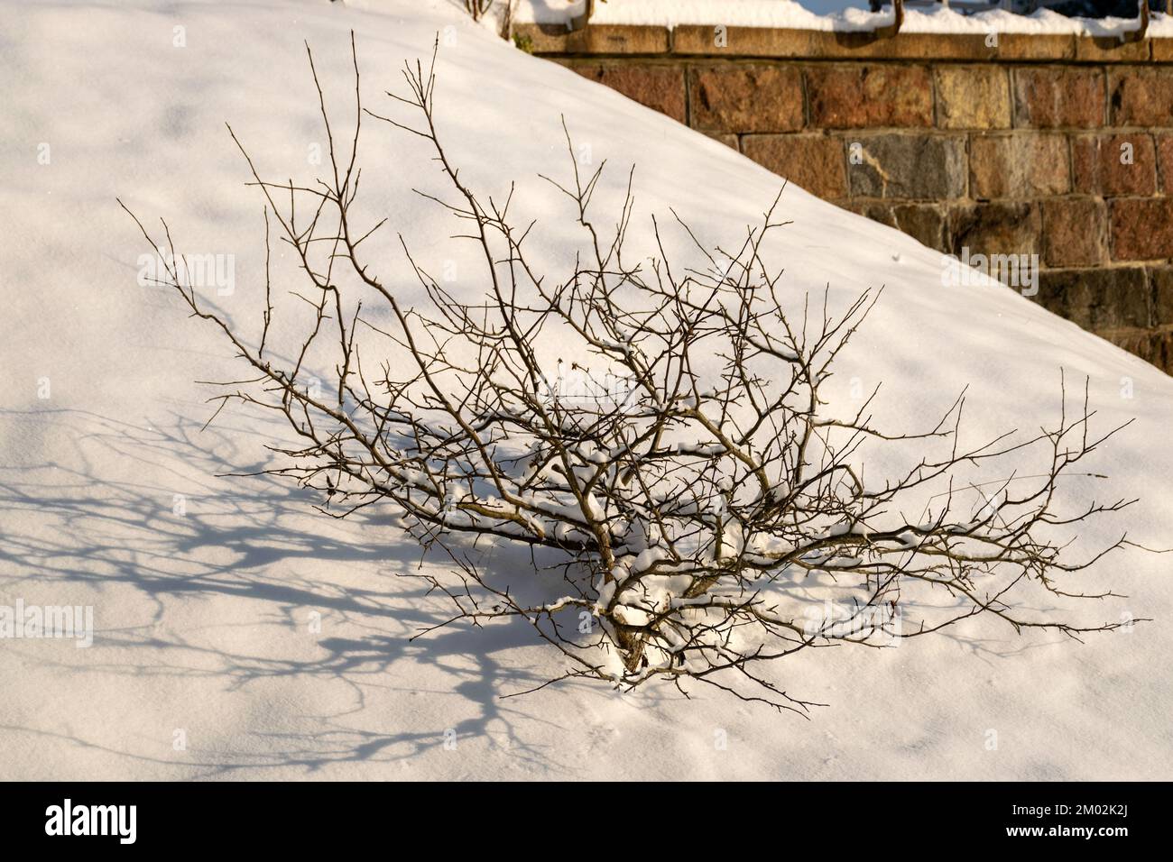 sunny winter landscape, shadow play on snow, white snow, winter day ...