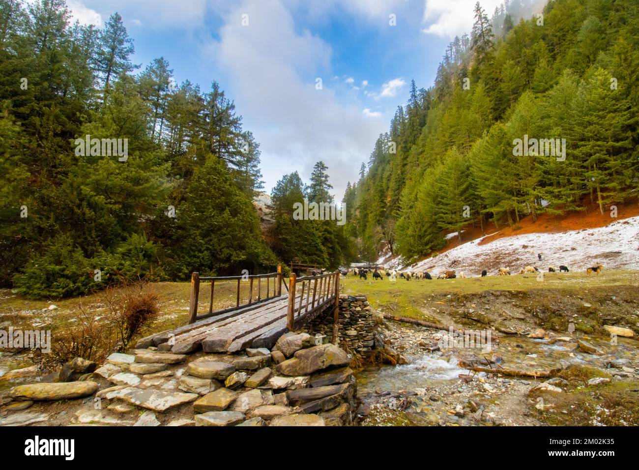 Beautiful Green Hills of Rara National Park and Rara Lake in Himalayas ...