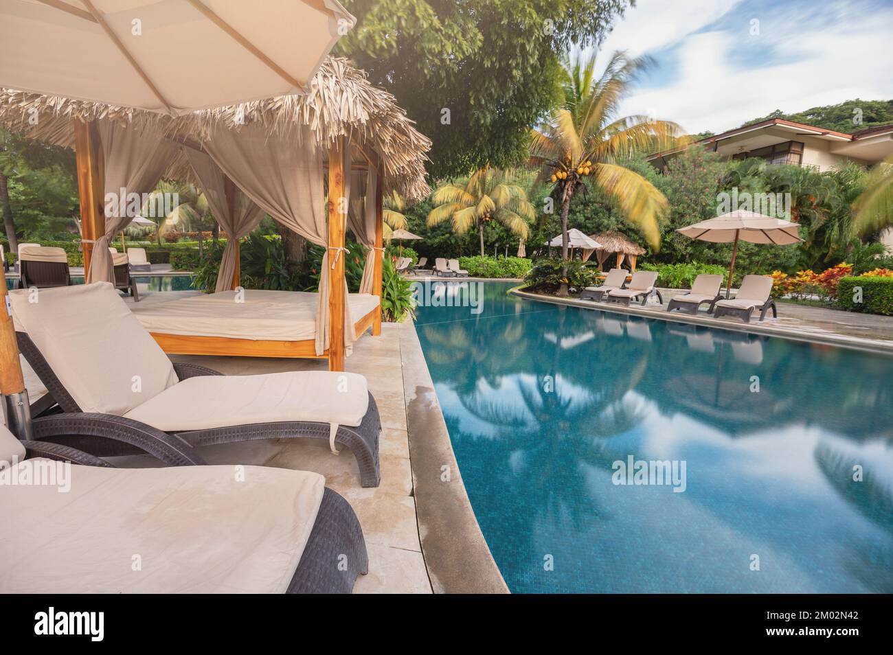 Luxury pool outside with chairs and umbrella with coconut tree Stock ...