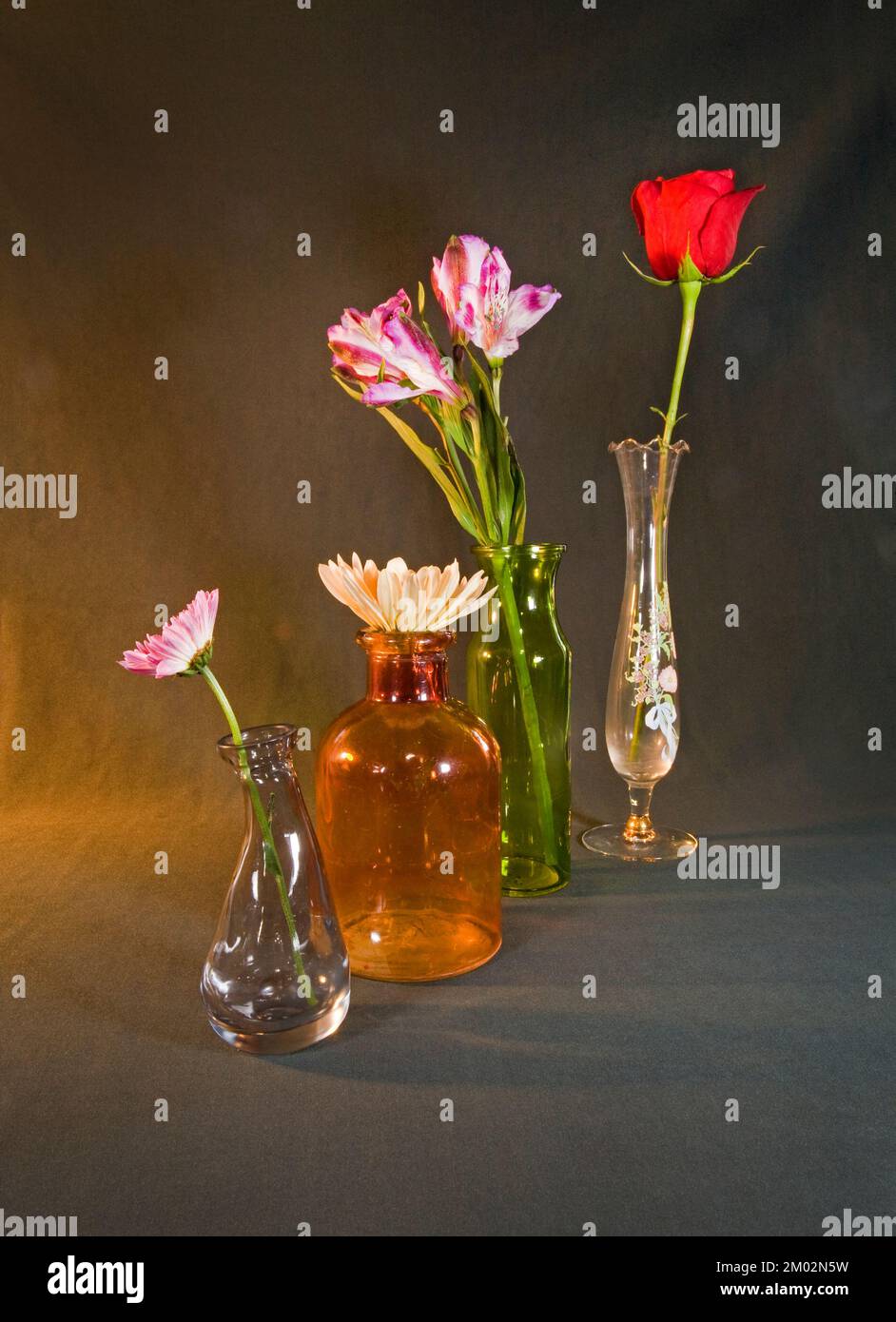 A still life of different flowers in colored bottles against a dark background Stock Photo - Alamy