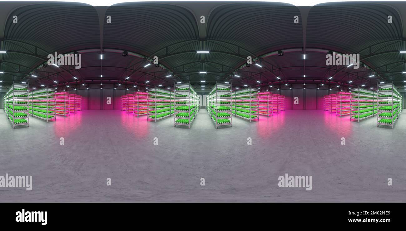 Full spherical HDRI panorama 360 degrees of indoor vertical farm ...
