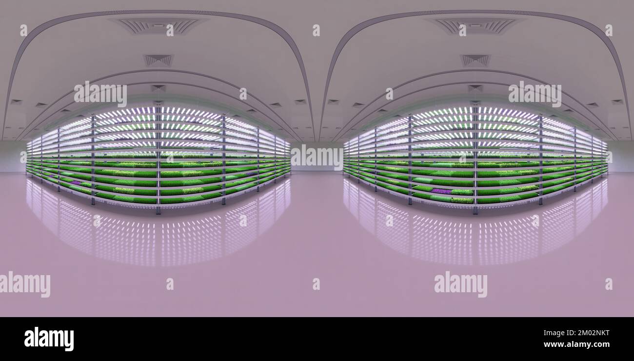 Full spherical HDRI panorama 360 degrees of indoor vertical farm ...
