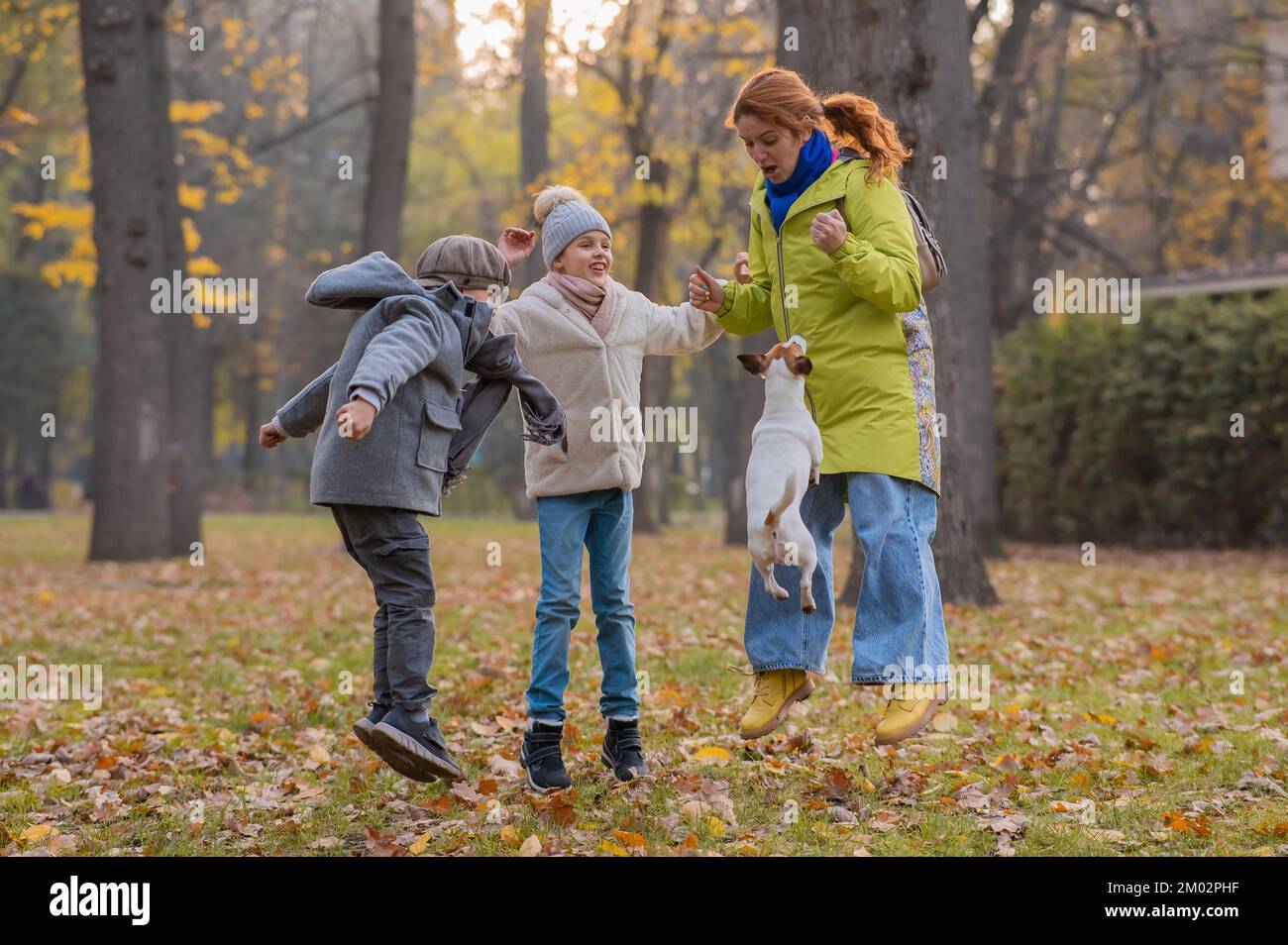 Caucasian children and red-haired woman play with dog jack russell ...