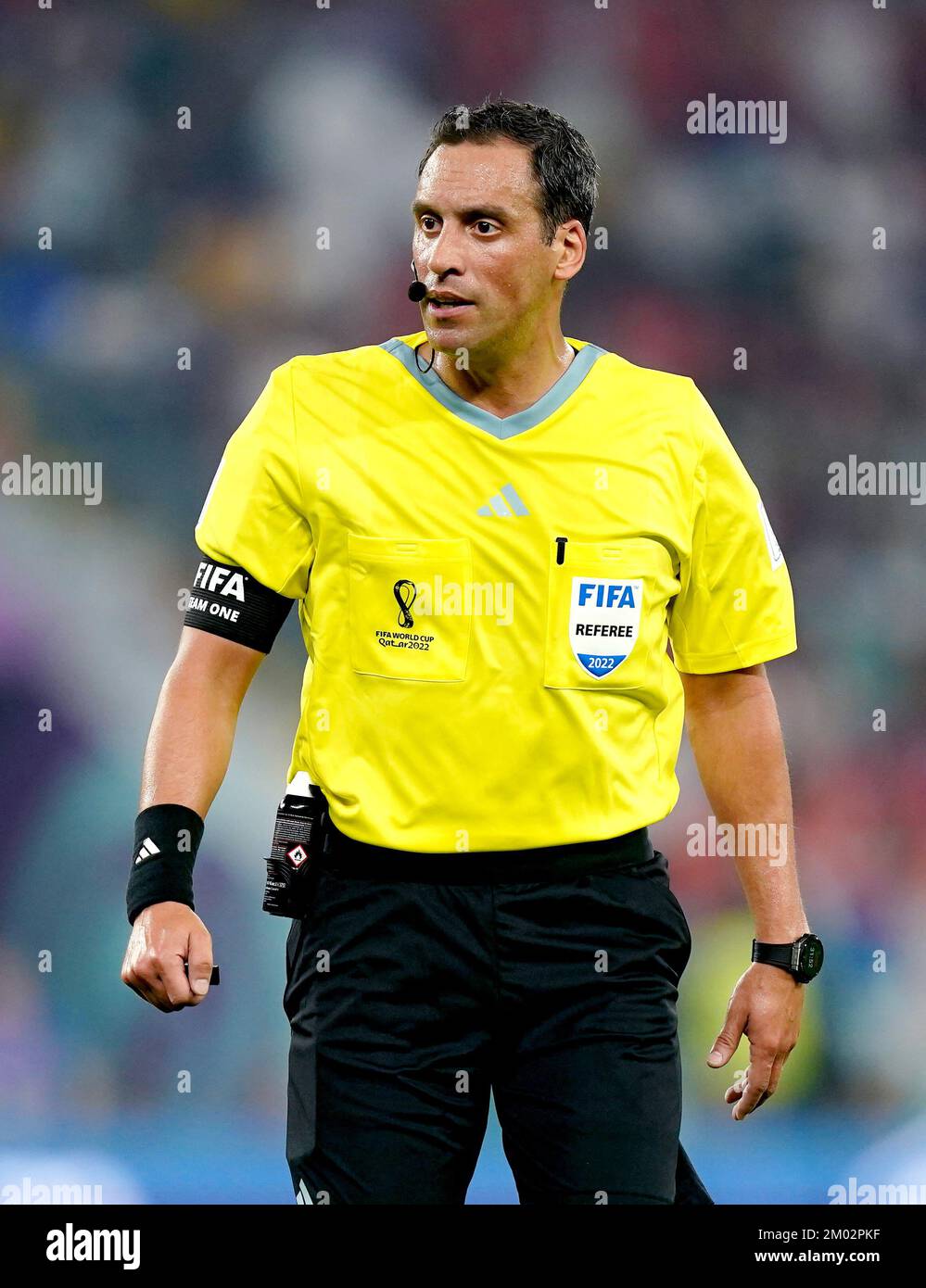 Referee Fernando Rapallini during the FIFA World Cup Group G match at ...