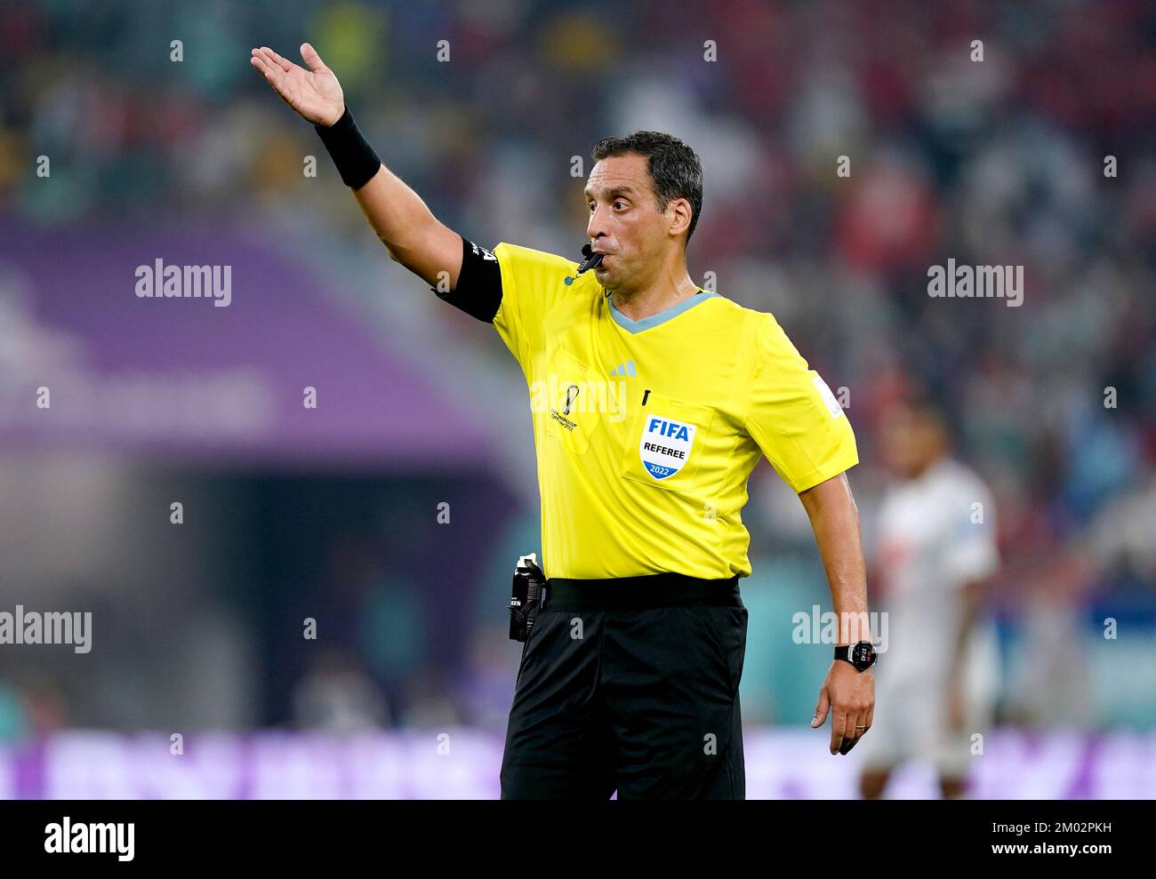 Referee Fernando Rapallini during the FIFA World Cup Group G match at ...