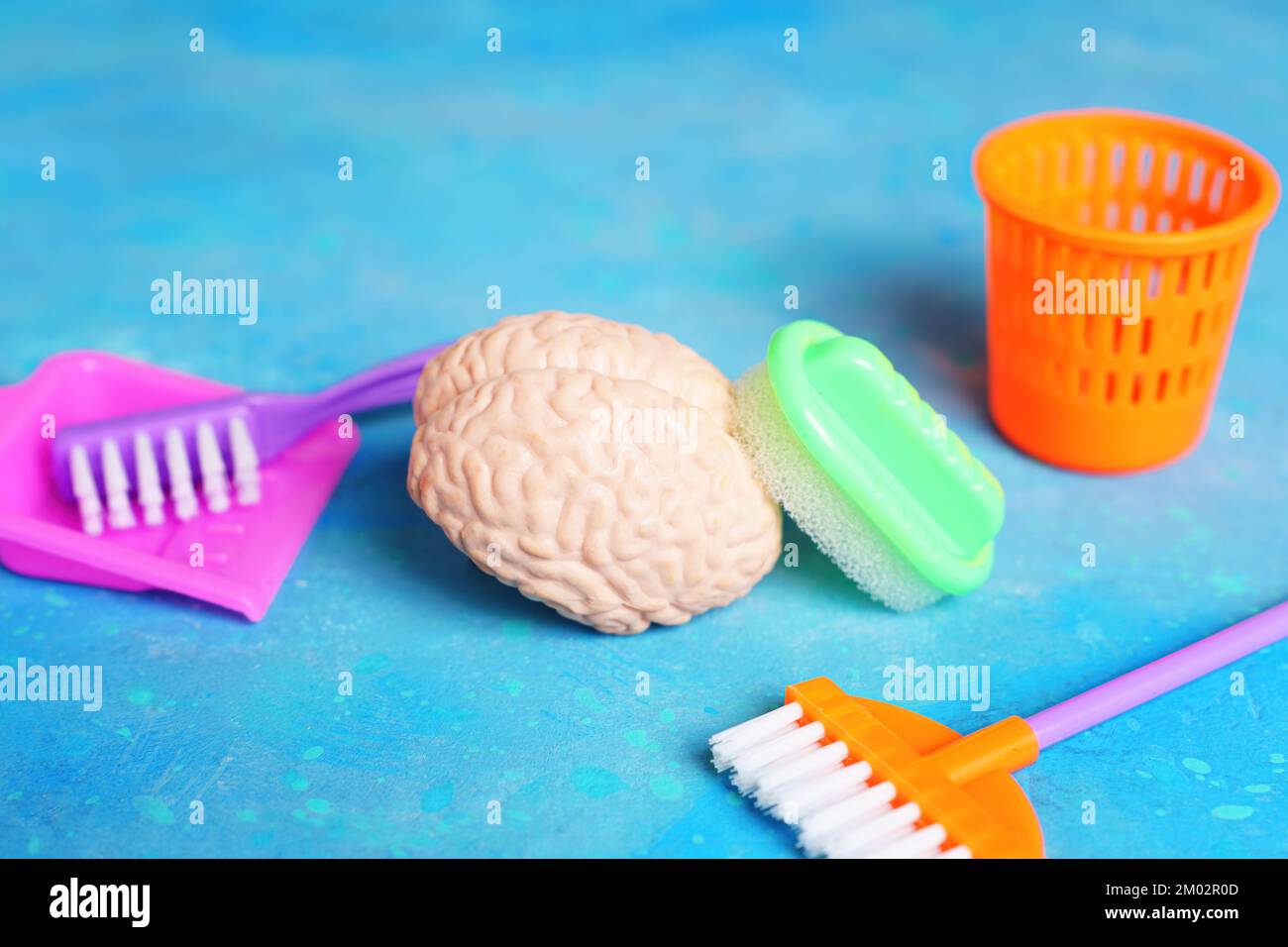 Human brain and toy essential home cleaning tools arranged on blue ...
