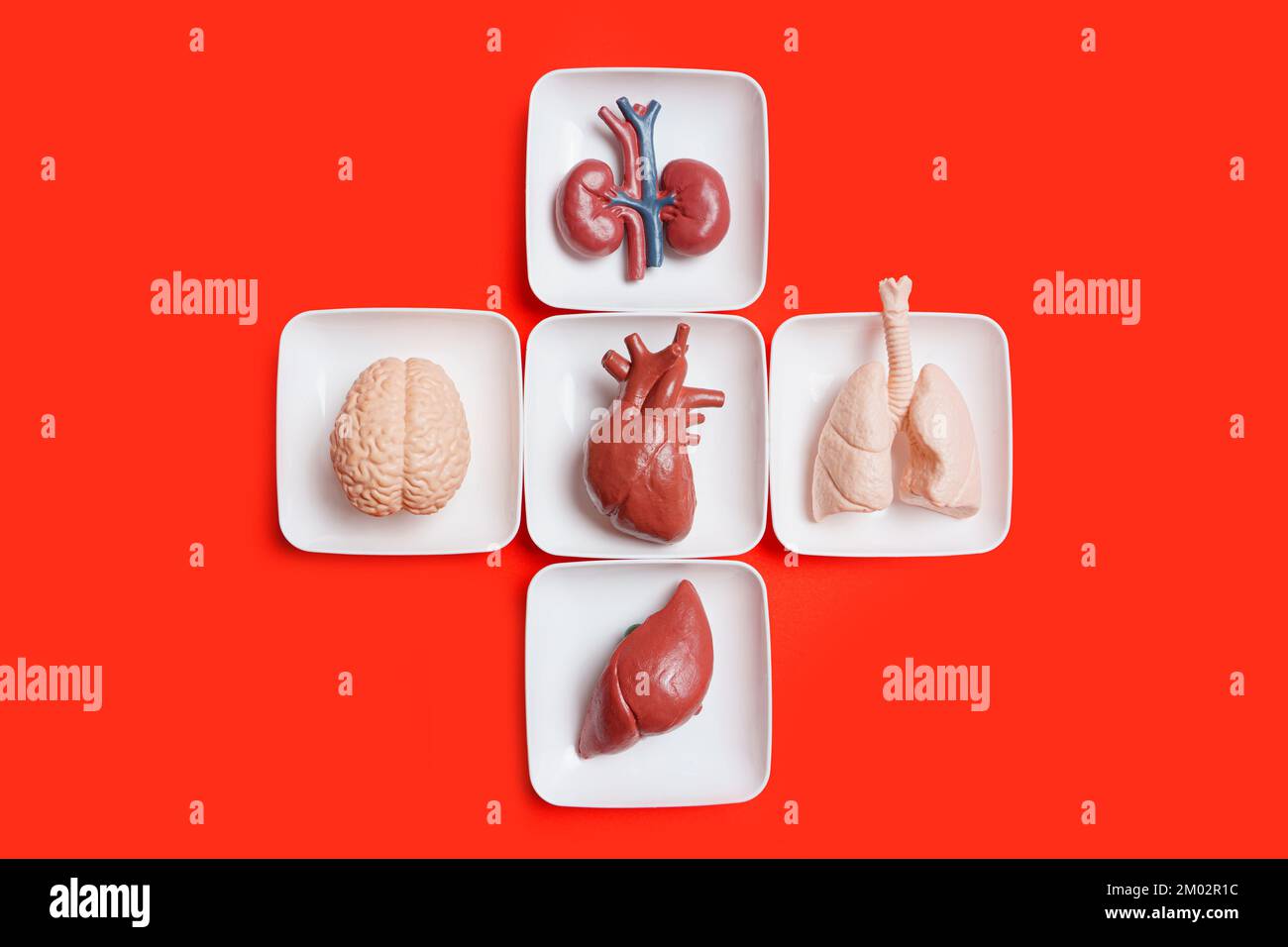 Creative medicine and health care topic related background: toy human ...