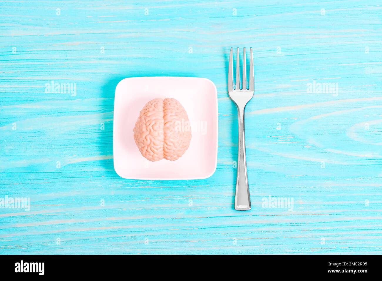 Miniature toy human brain model on a tiny white plate and small silver ...