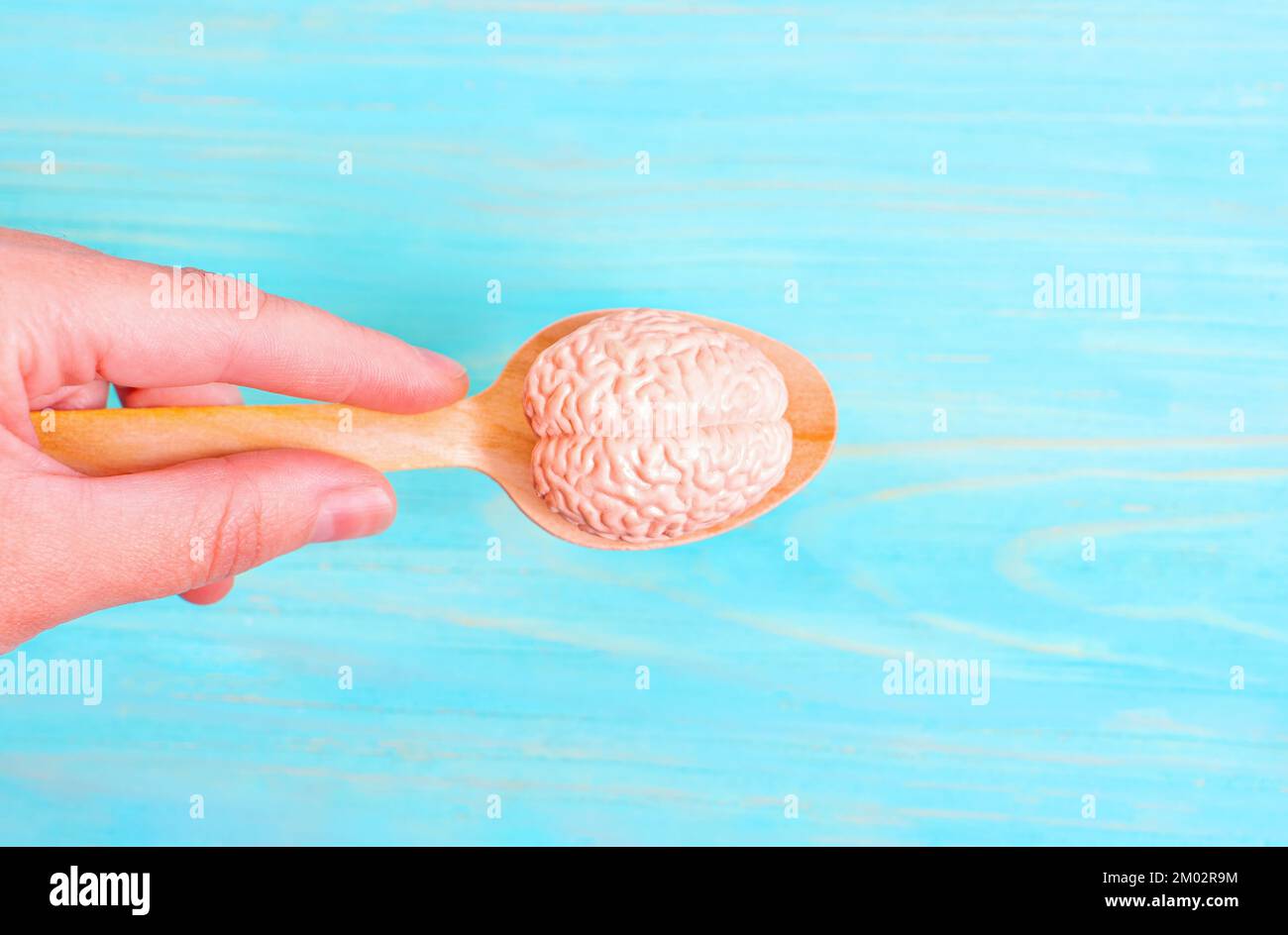 Hand holding a small wooden spoon with a toy human brain model isolated ...