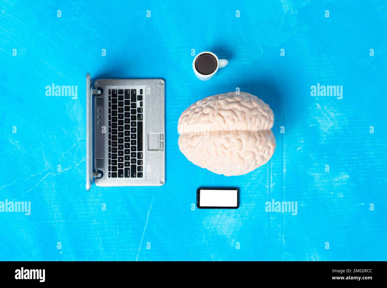 Anatomical copy of a human brain working on a miniature laptop isolated ...