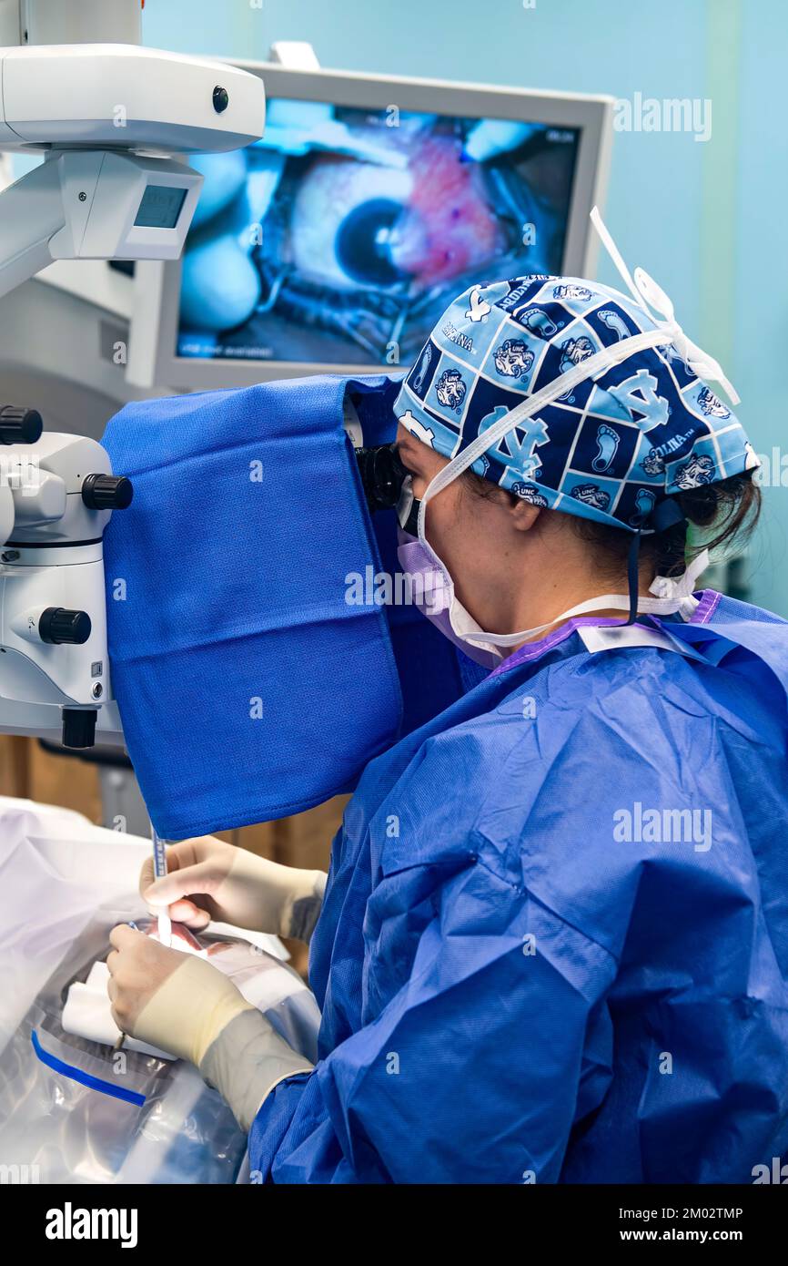 Using a medical microscope, a doctor performs eye surgery on a patient ...