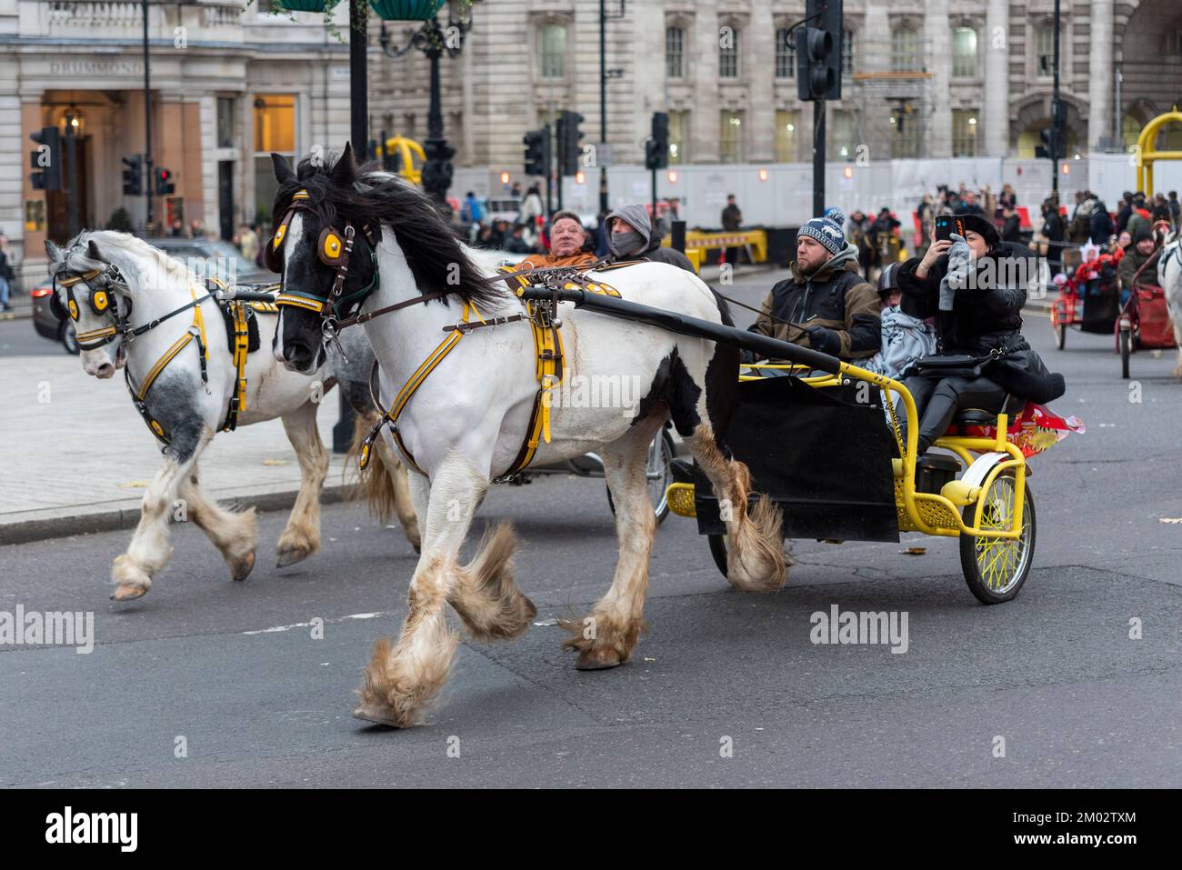 Westminster, London, UK. 3rd Dec, 2022. A number of pony and traps have ...