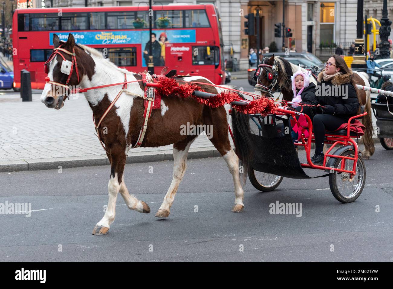 Westminster, London, UK. 3rd Dec, 2022. A number of pony and traps have ...