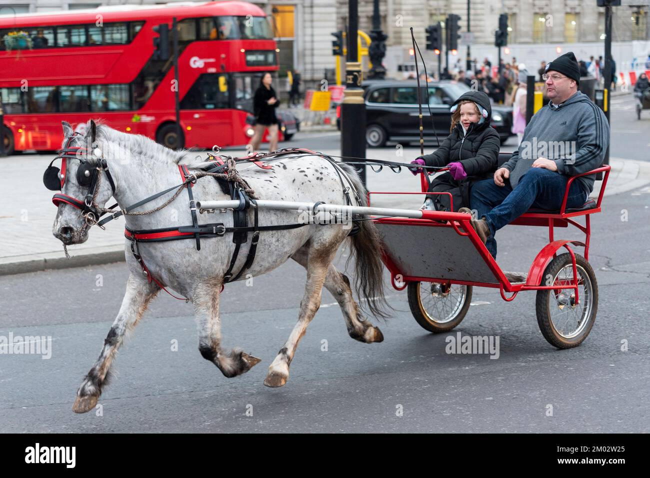 Westminster, London, UK. 3rd Dec, 2022. A number of pony and traps have ...