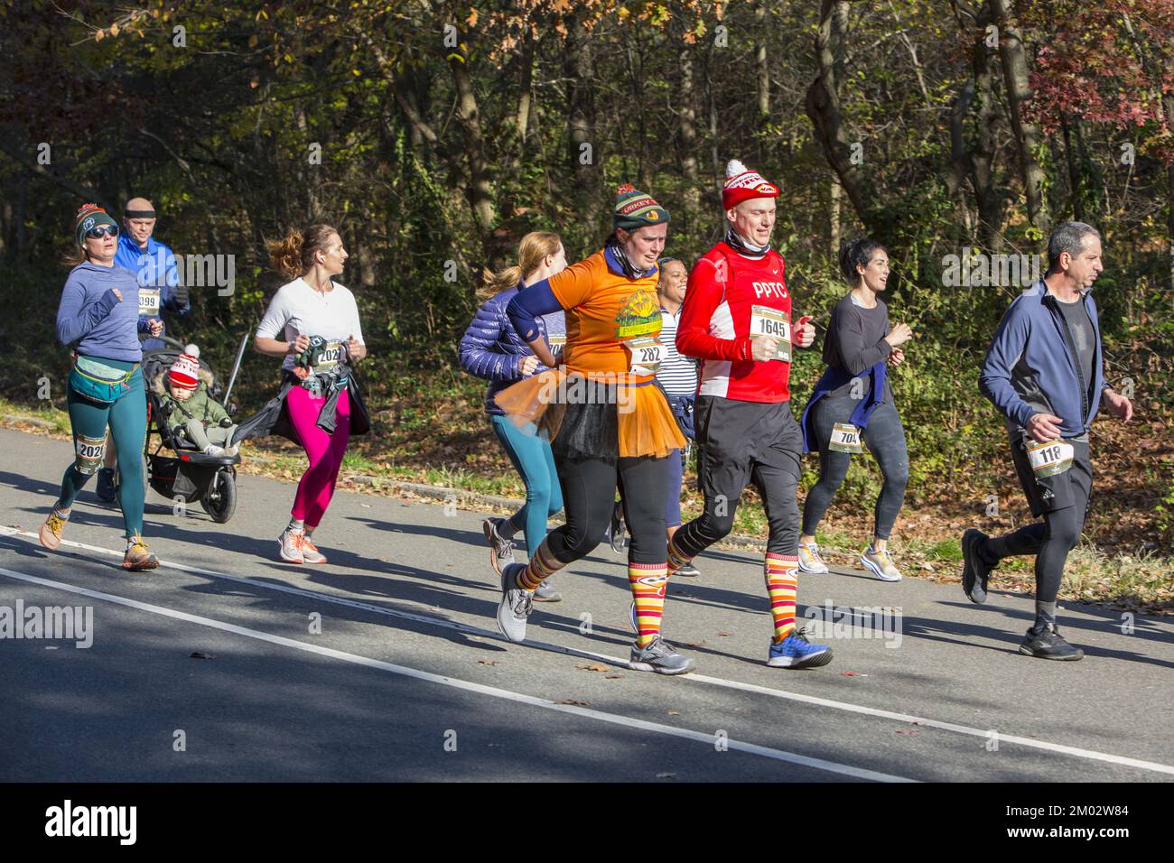 Thanksgiving turkey costume hi-res stock photography and images - Alamy